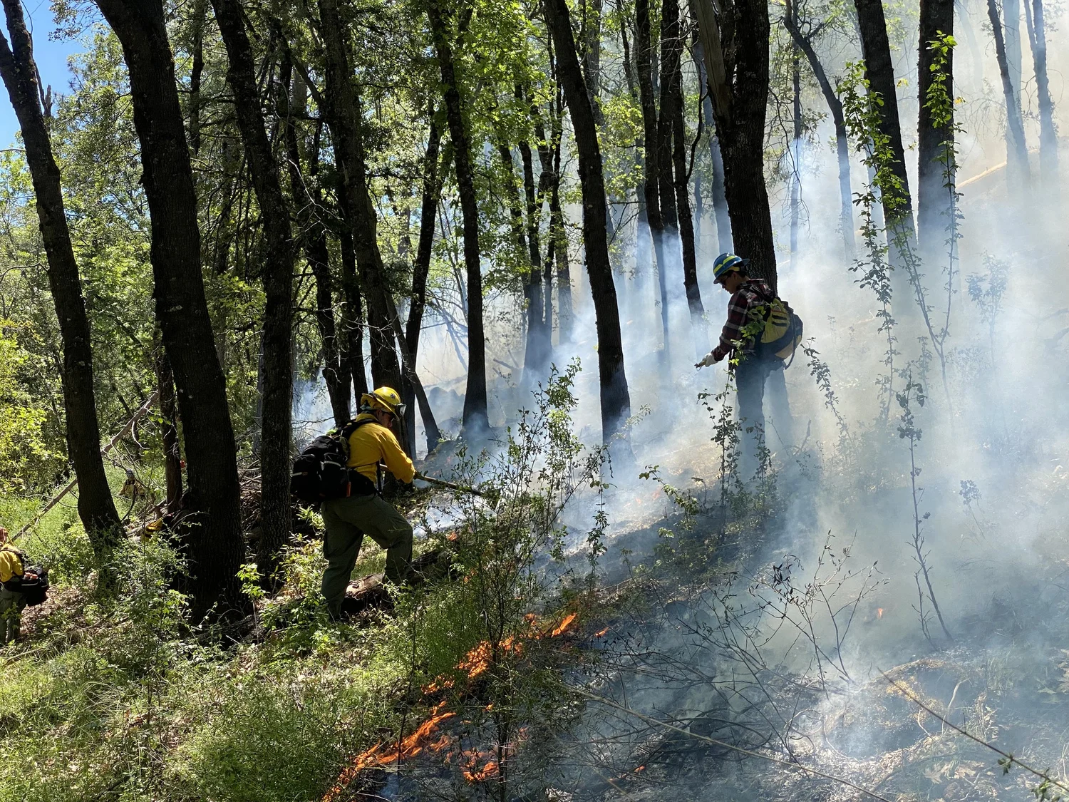 EcoCultural Fire Crew — TERA