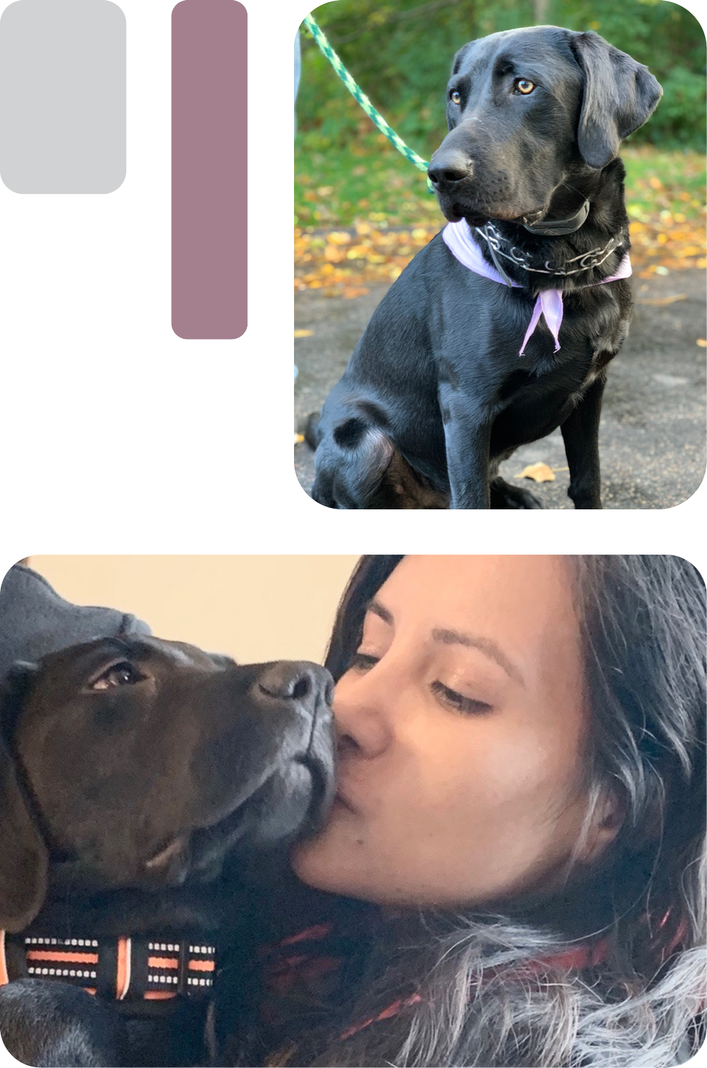 Maria's Voice — Meet the Maria's Voice Team