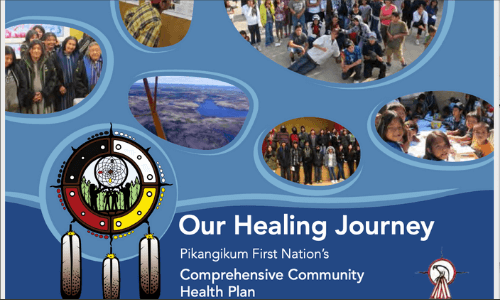 Planning Services — Beringia Community Planning