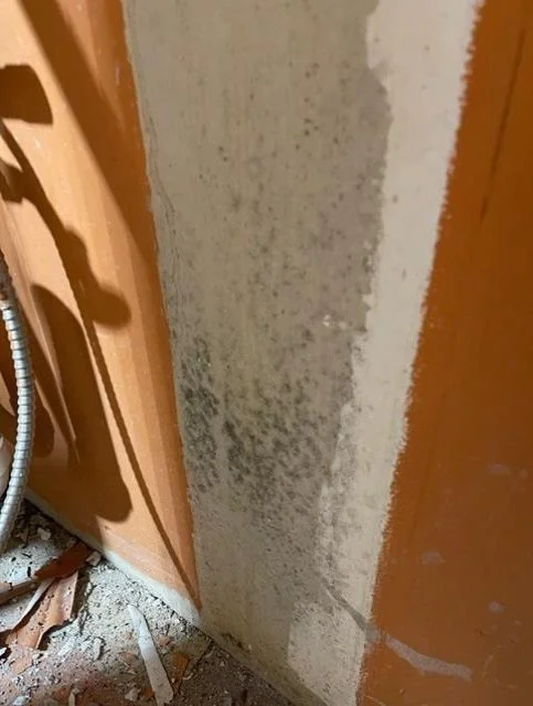 Synertech | Mold Testing Philadelphia | Mold Inspections