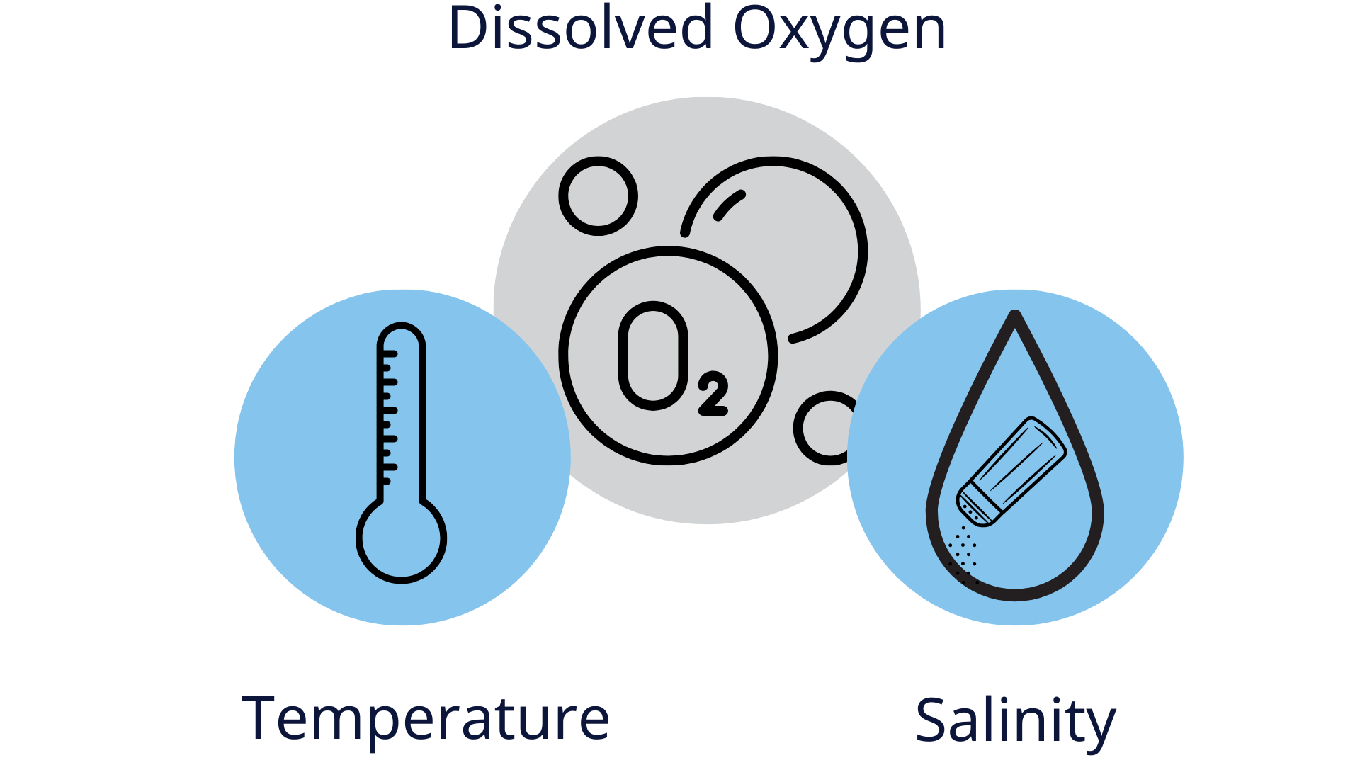 Water Quality Sensors — Mabel Systems