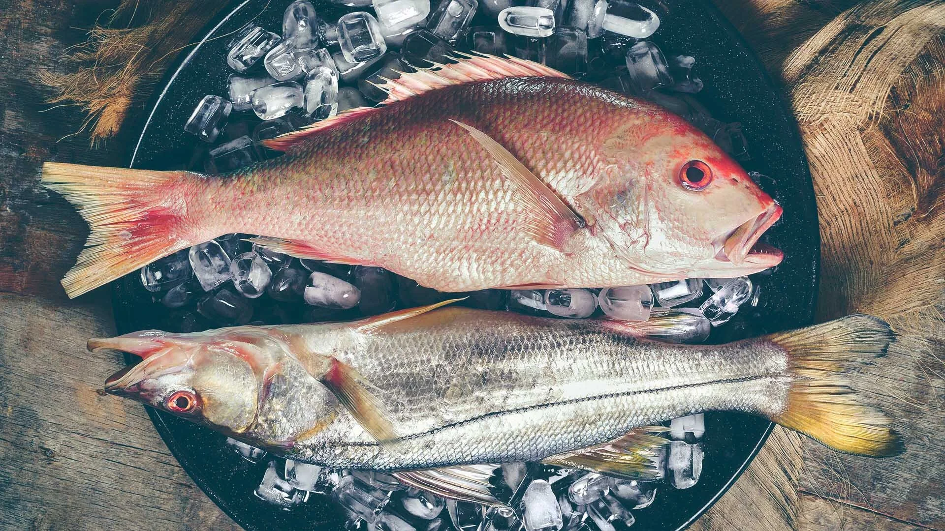 The Chili Beach | Jericoacoara