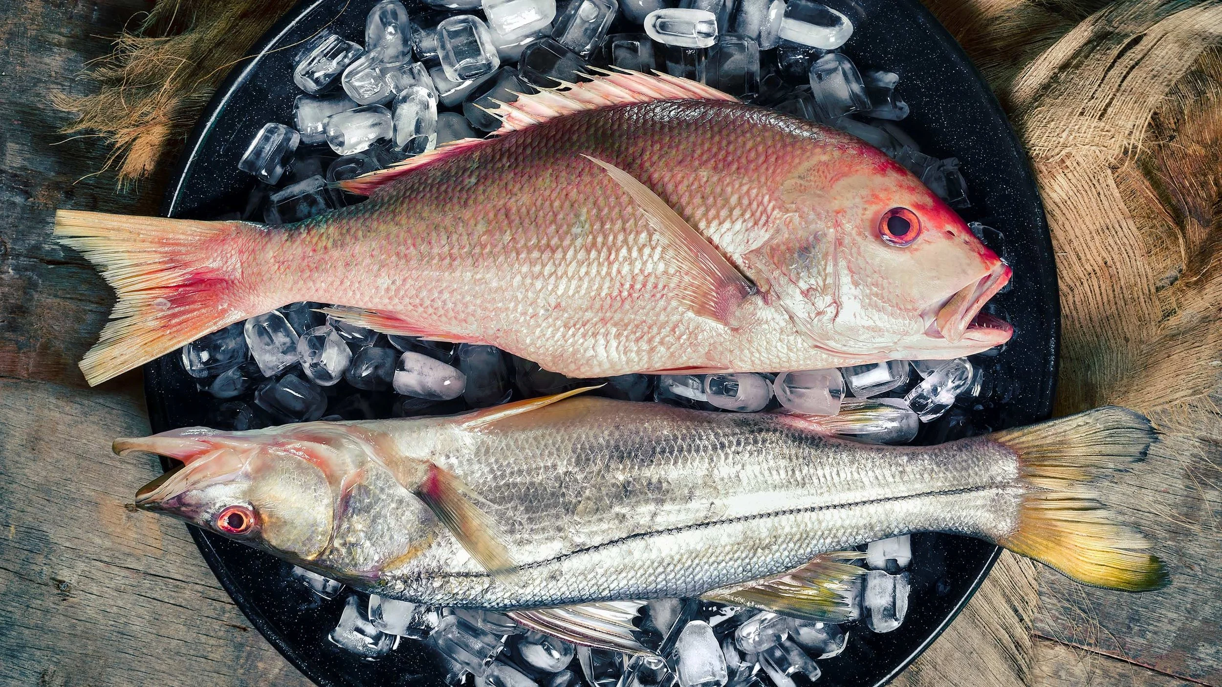 The Chili Beach | Jericoacoara