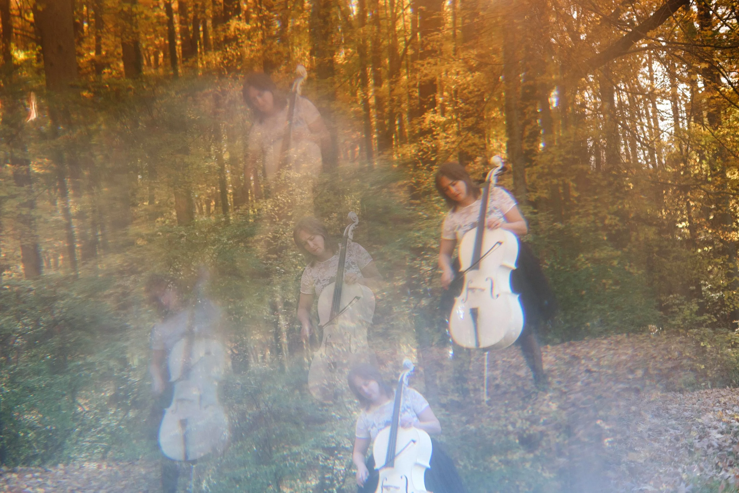 Calendar — Nora Barton - cellist