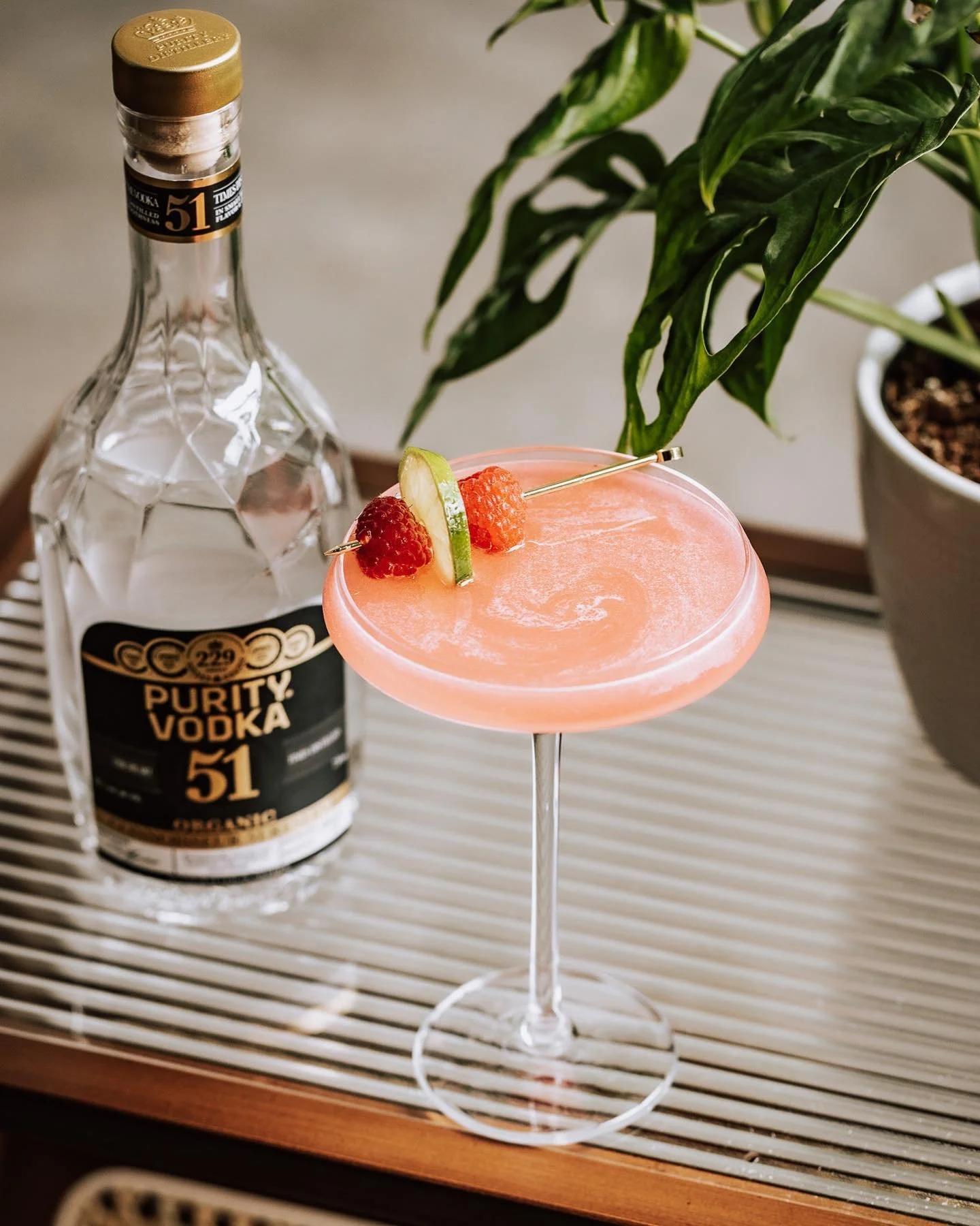 Purity Connoisseur 51 Reserve Organic Vodka | Purity Organic Vodka & Gin