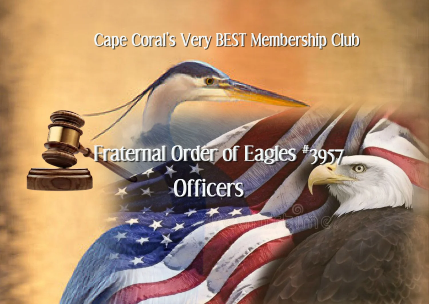 Cape Coral FL Eagles #3957