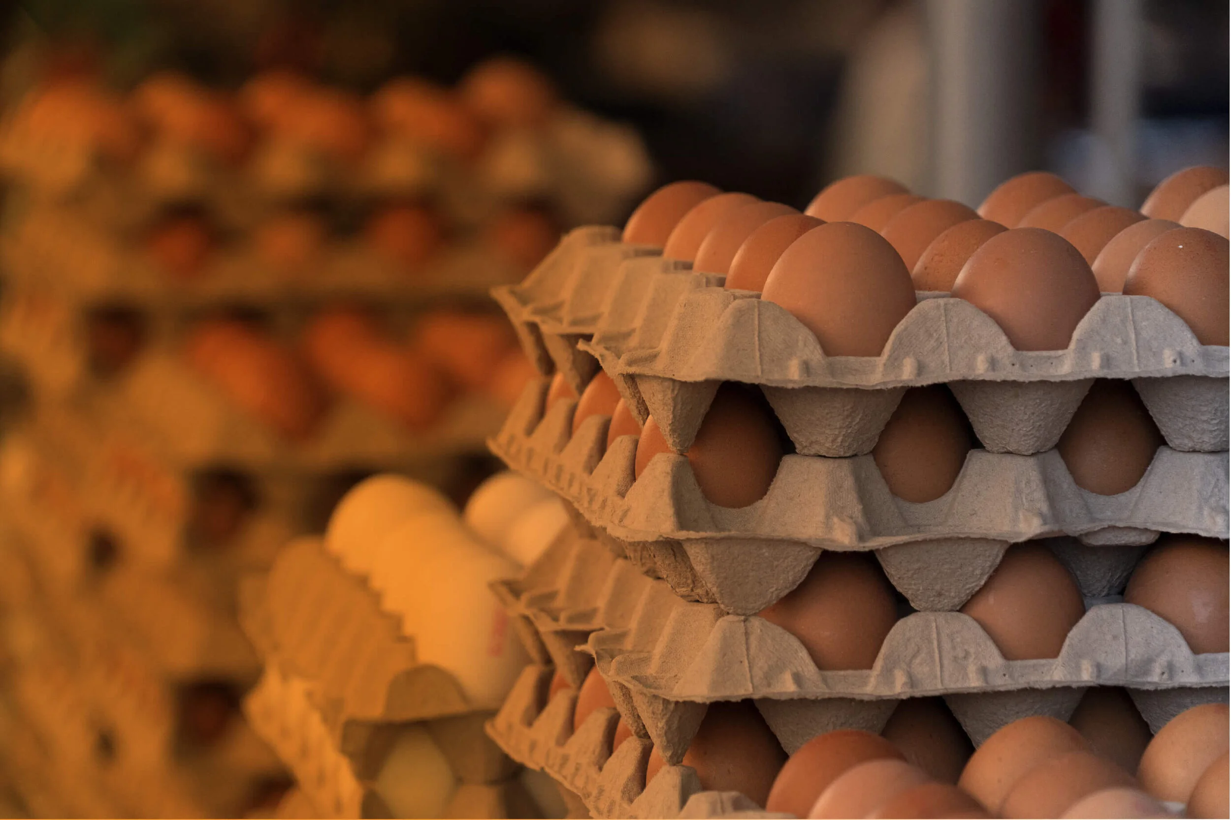 Our Story — CCF Brands