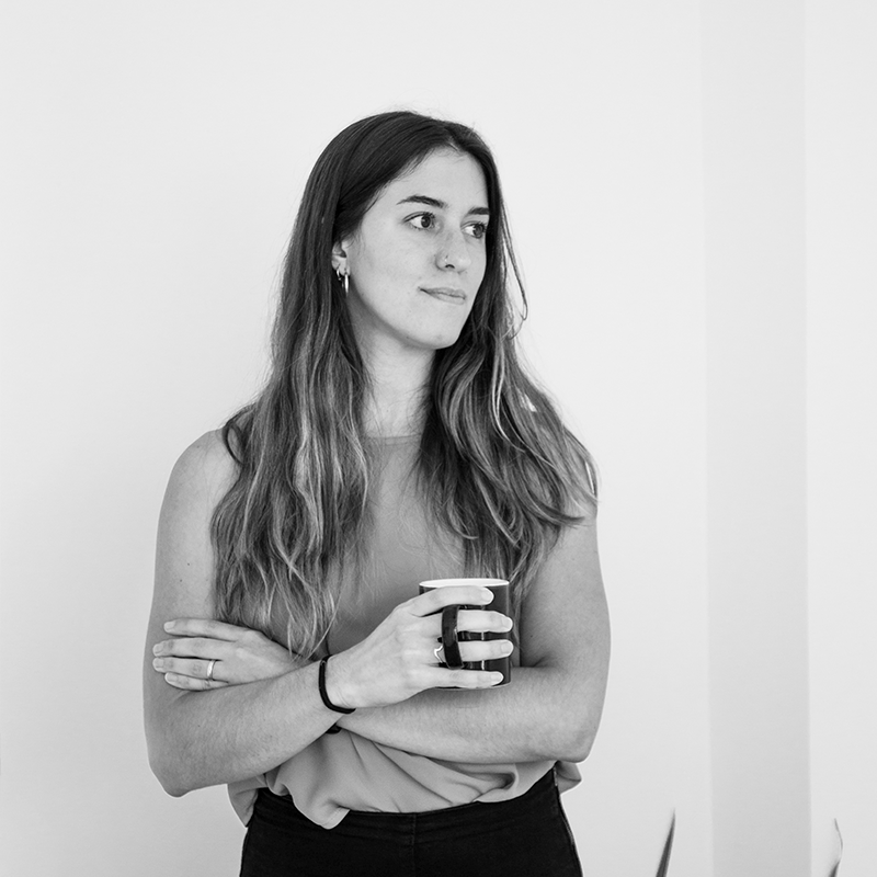 ABOUT US — ZAPIR VISUALIZATIONS