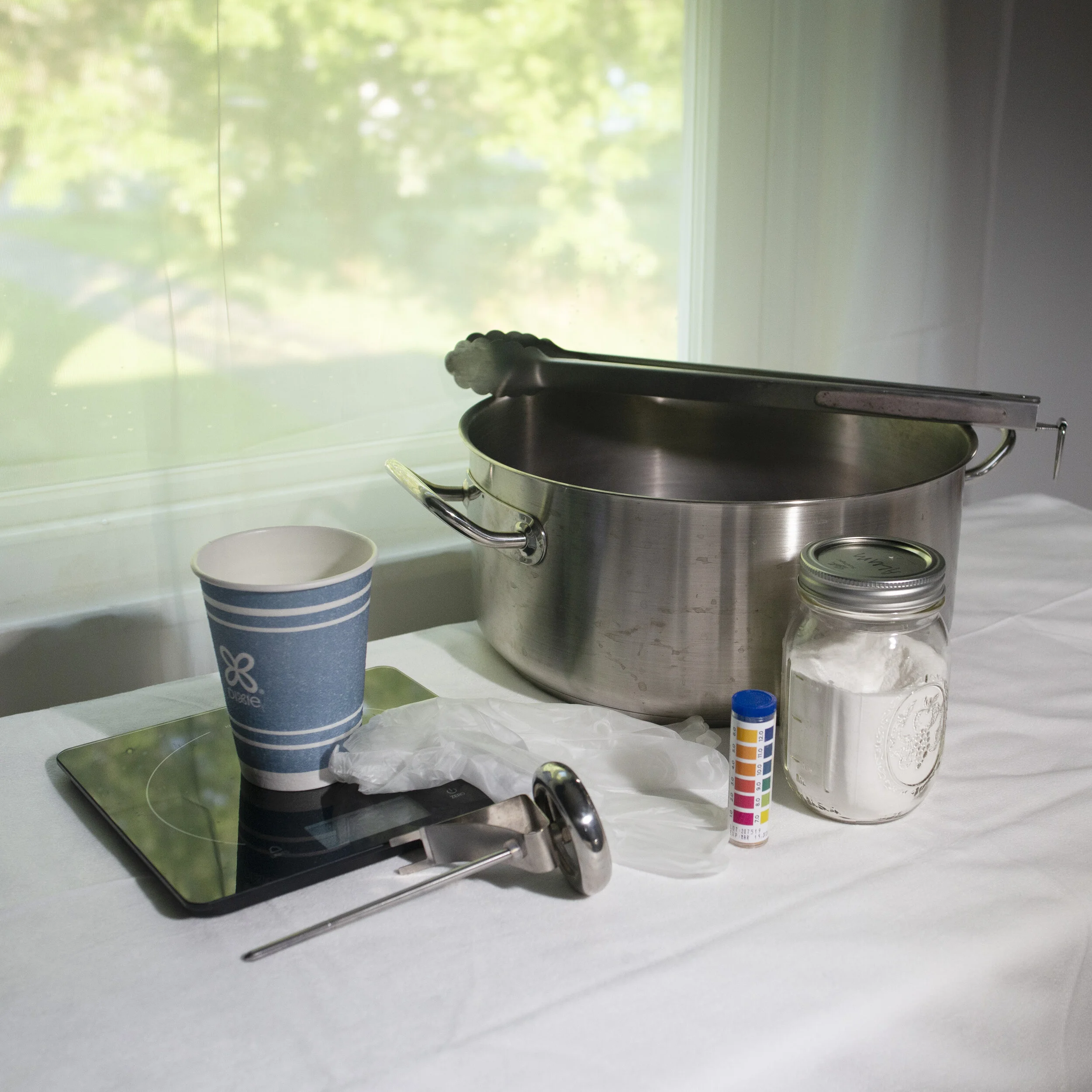 Dyeing With Alkanet Root (Alkanna Tinctoria) — Shepherd Textiles
