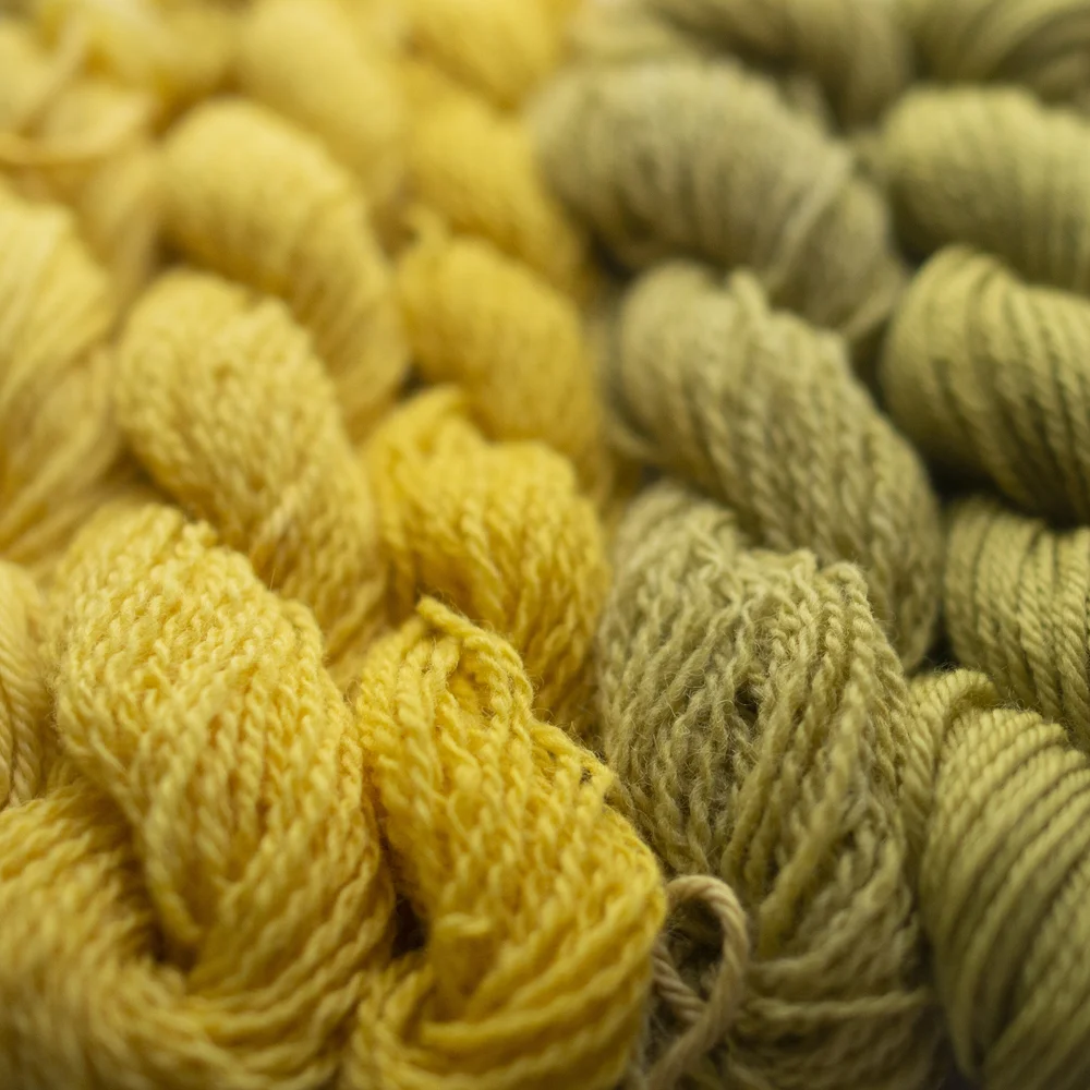 Shepherd Textiles Orchil Natural Lichen Dye — Shepherd Textiles