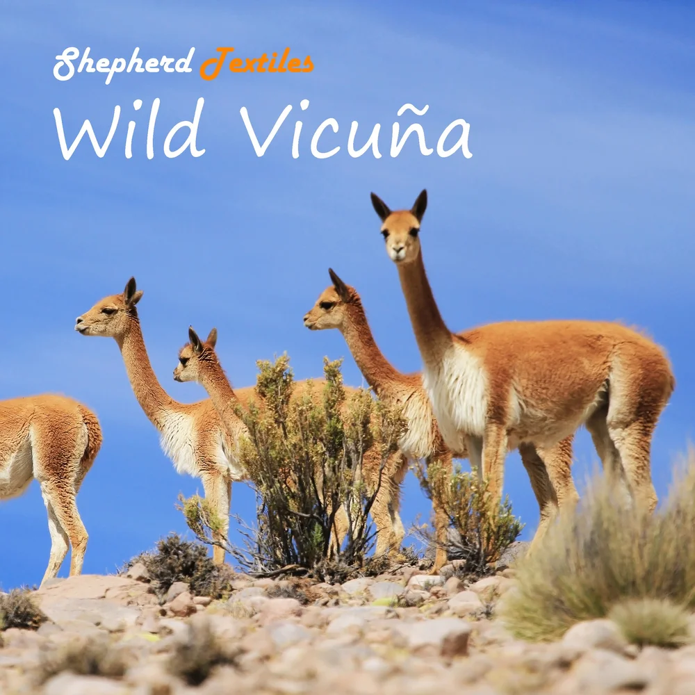 Shepherd Textiles 100% Wild Vicuna Weaving Yarn (2/28) — Shepherd Textiles