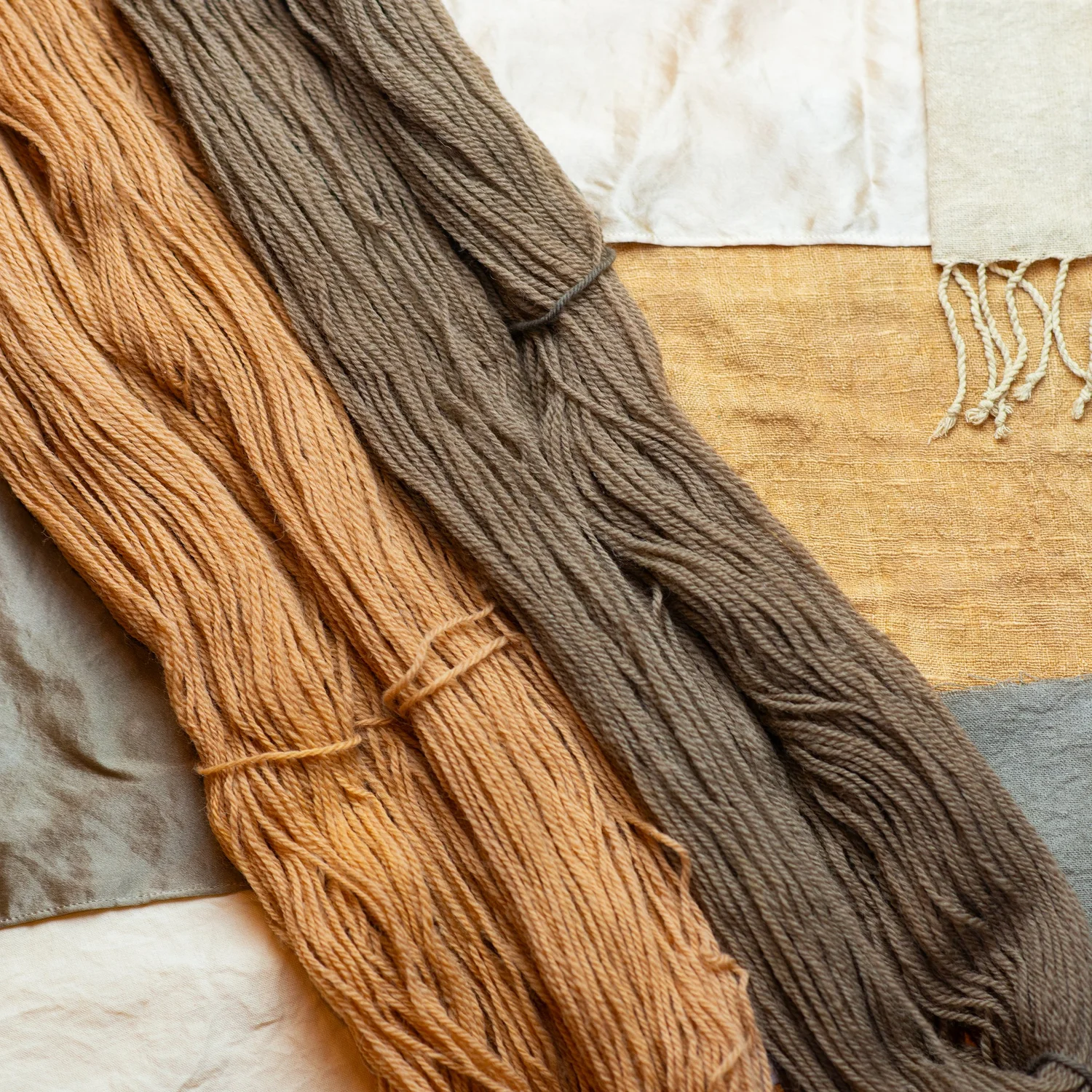 Shepherd Textiles Indigo Leaf Natural Dye (Indigofera Tinctoria ...