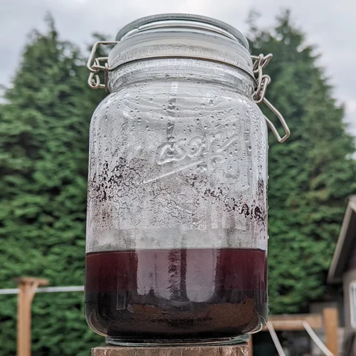 Dyeing With Alkanet Root (Alkanna Tinctoria) — Shepherd Textiles