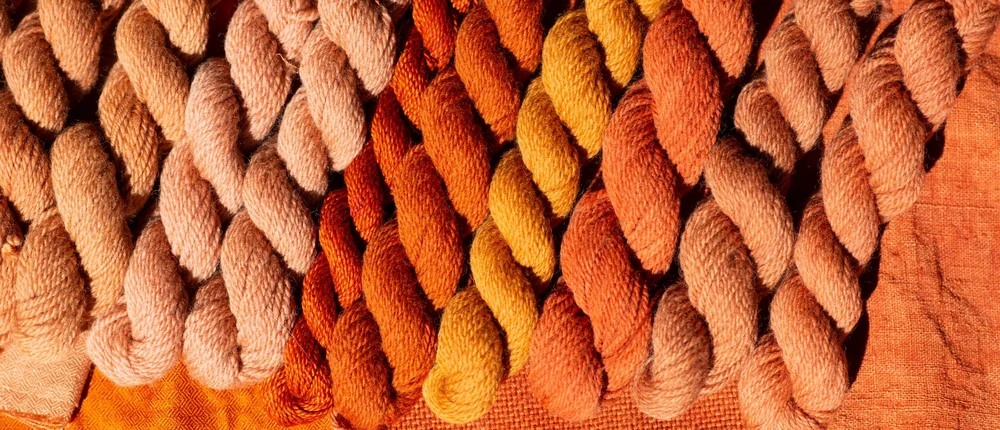 Dyeing With Red Sandalwood (Pterocarpus Santalinus) — Shepherd Textiles