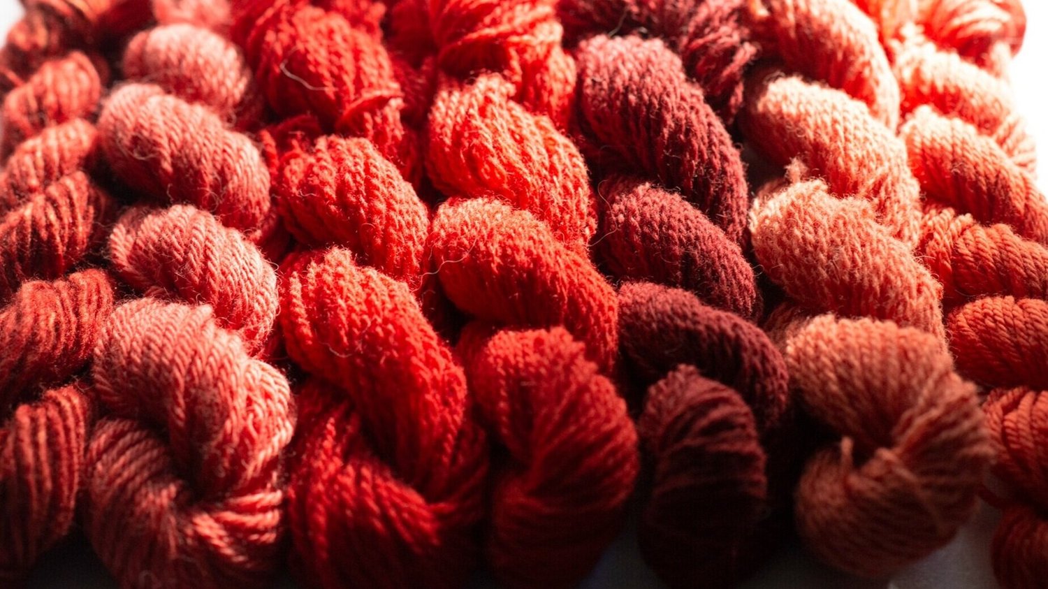 Dyeing With Wild Madder Extract (Rubia Tinctorum) — Shepherd Textiles