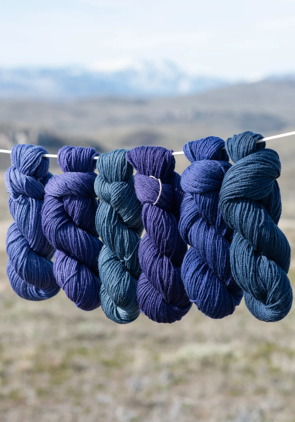 Dyeing With Royal Logwood Extract — Shepherd Textiles