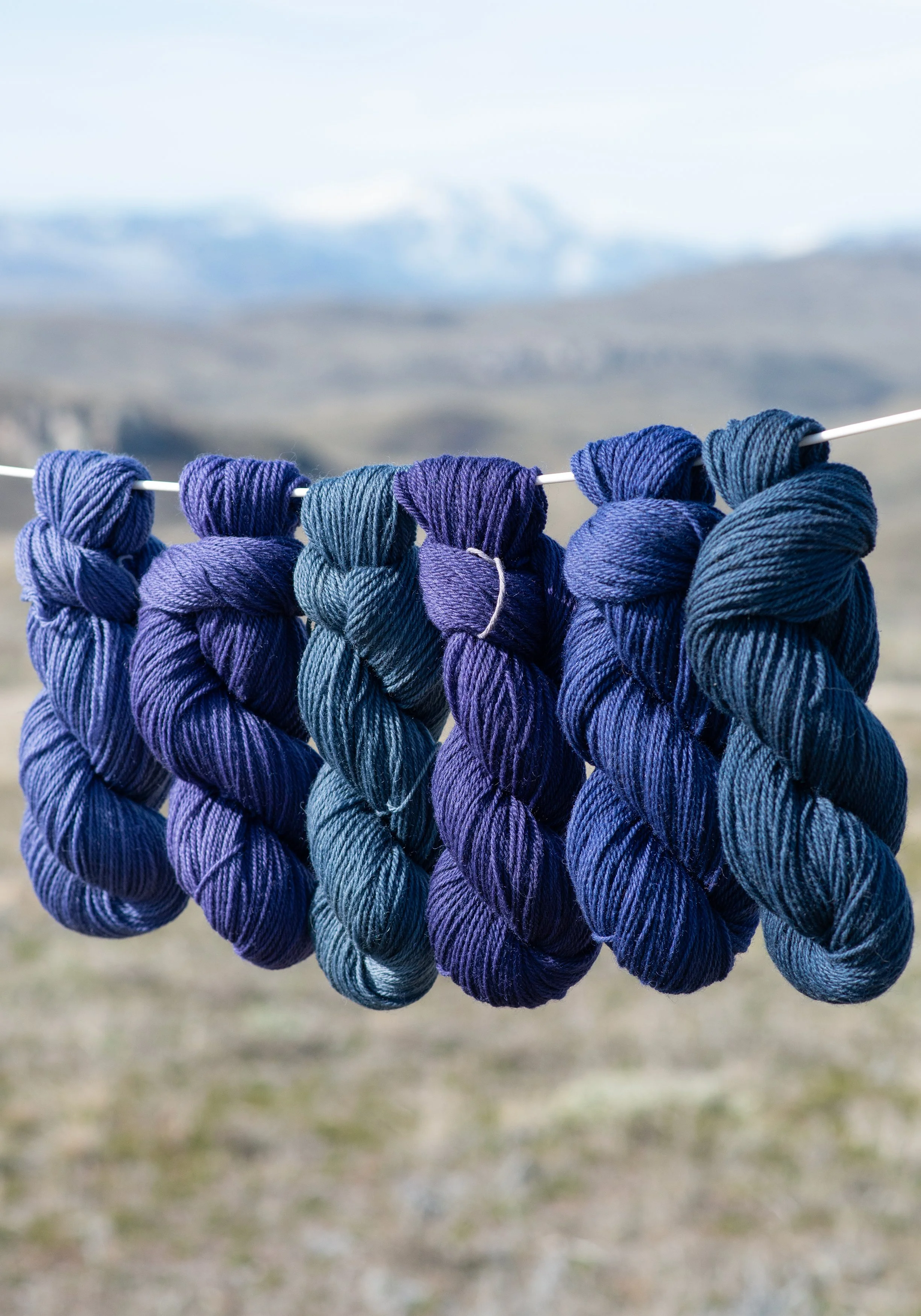Dyeing With Royal Logwood Extract — Shepherd Textiles