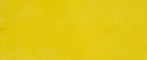 Dyeing with Flavin™ (Sophora Japonica) — Shepherd Textiles