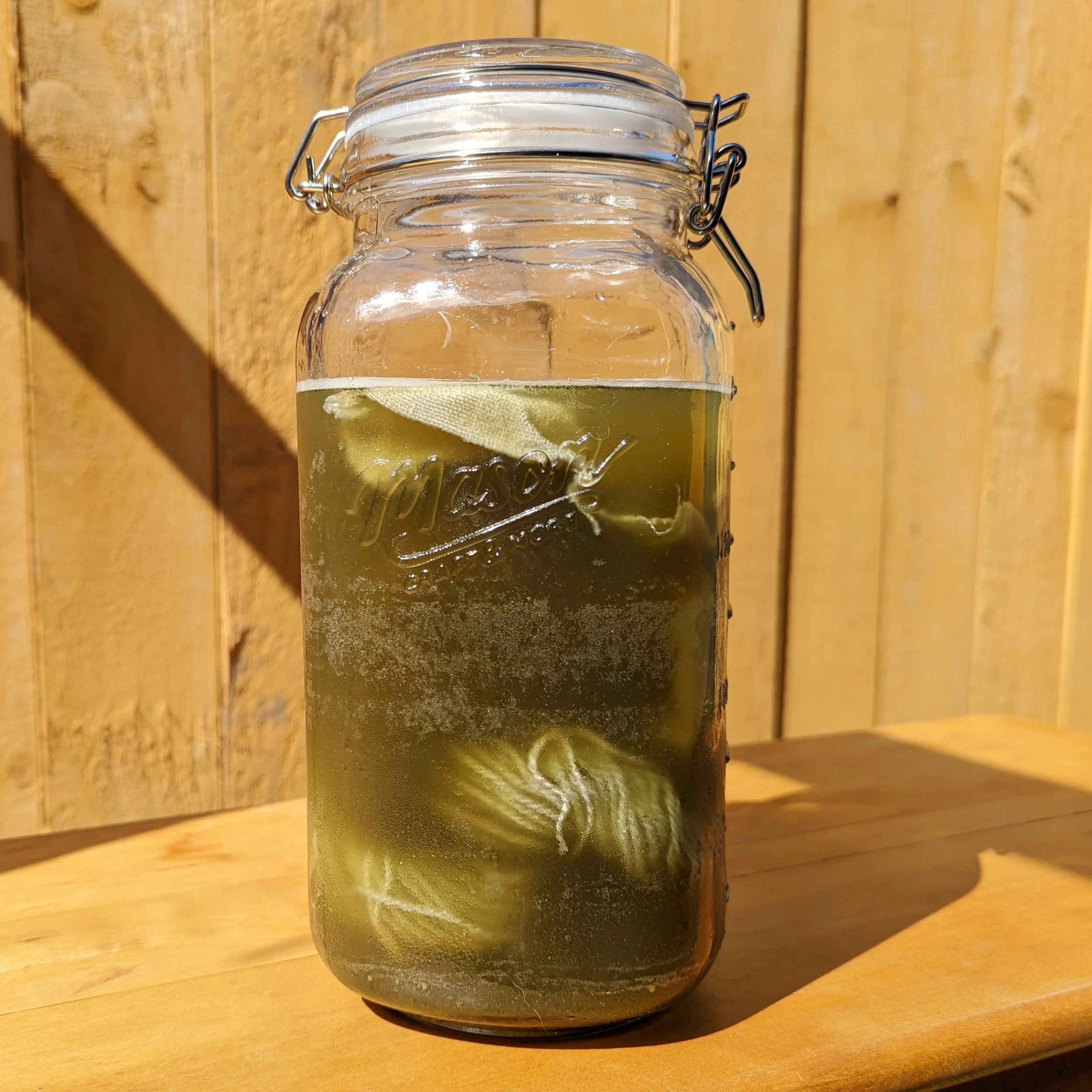 Dyeing Blue With Dried Indigo Leaves and Ice Water — Shepherd Textiles