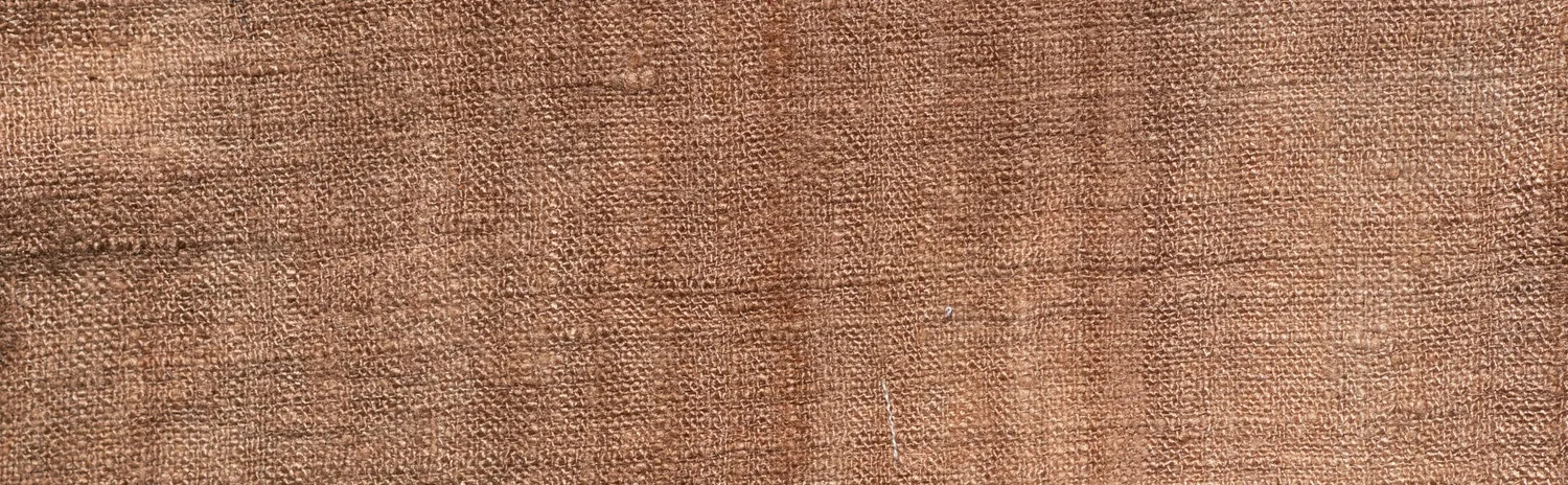 Dyeing With Black Walnut Hull (Juglans Nigra) — Shepherd Textiles