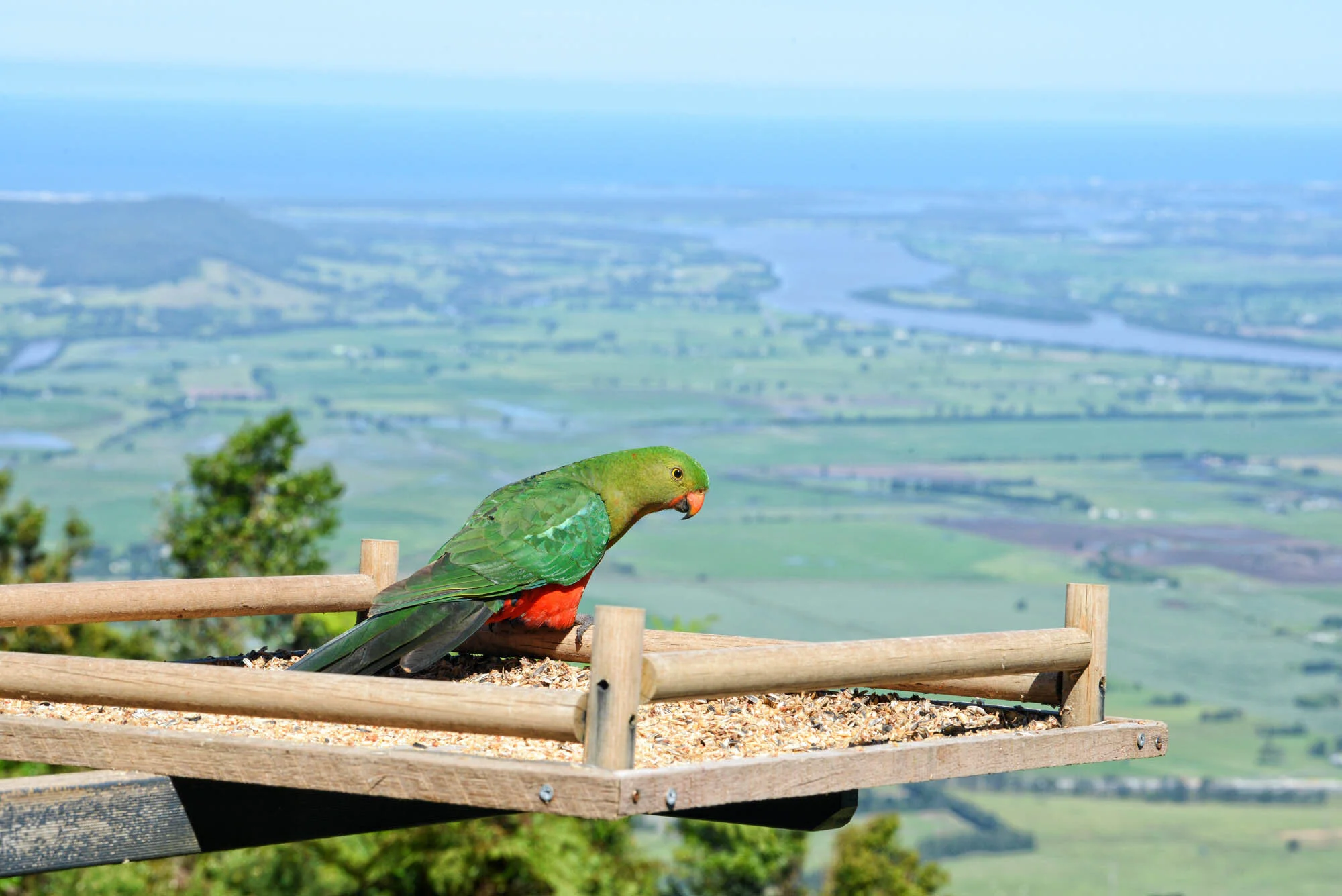 Location & Lifestyle — Maculata Park | Cambewarra