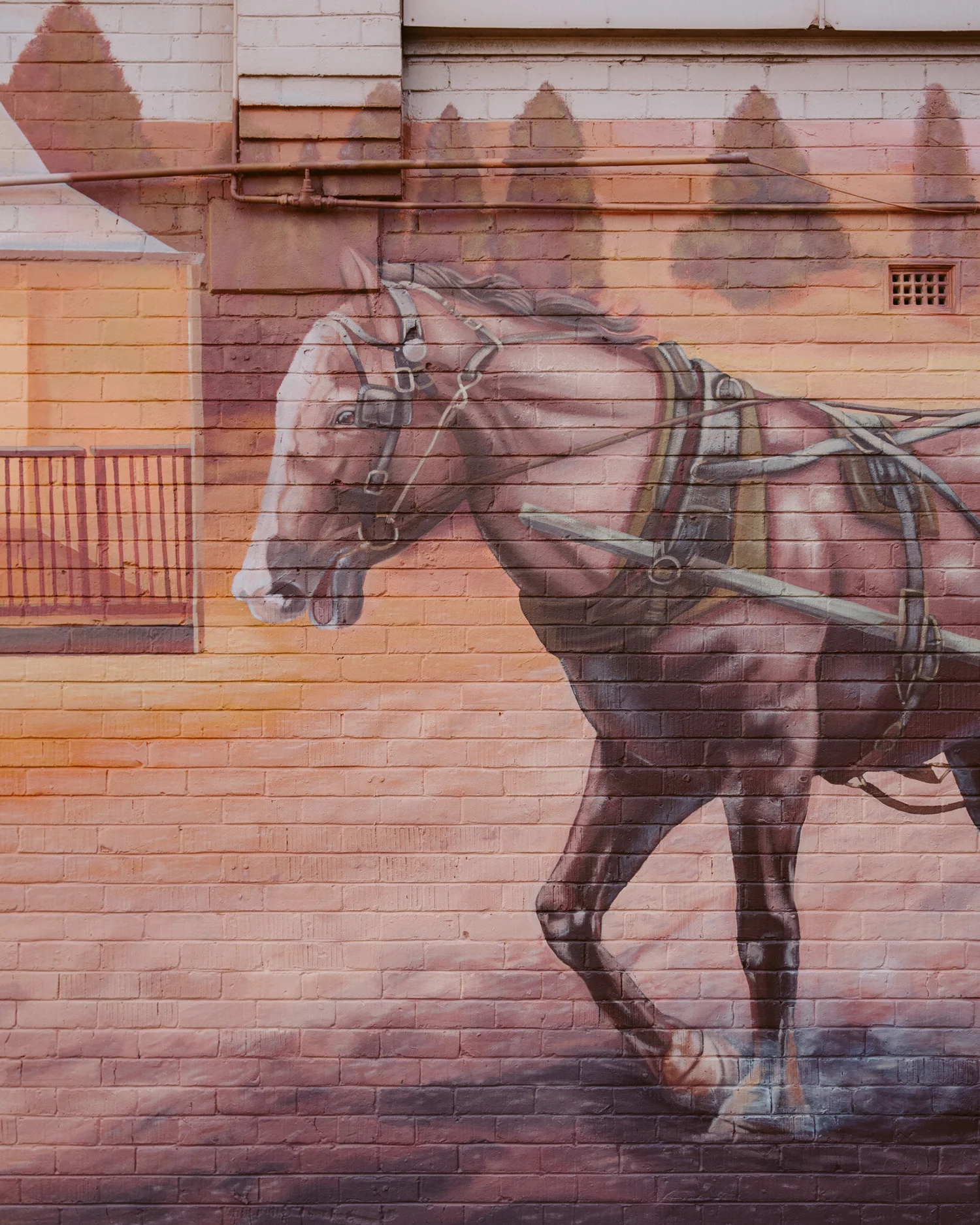 JARRAD MARTYN, GOLDEN CRUST BAKERY, 2020 — Collie Mural Trail