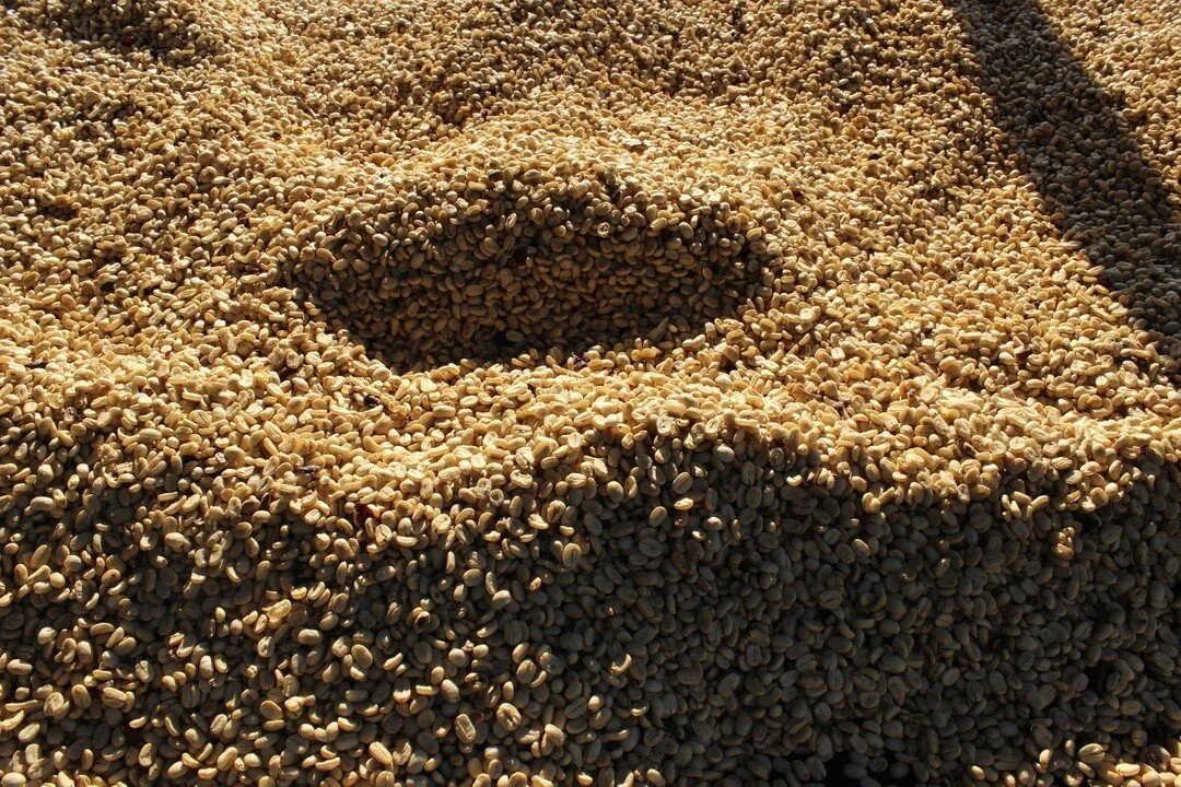 Tim Adams Specialty Coffee