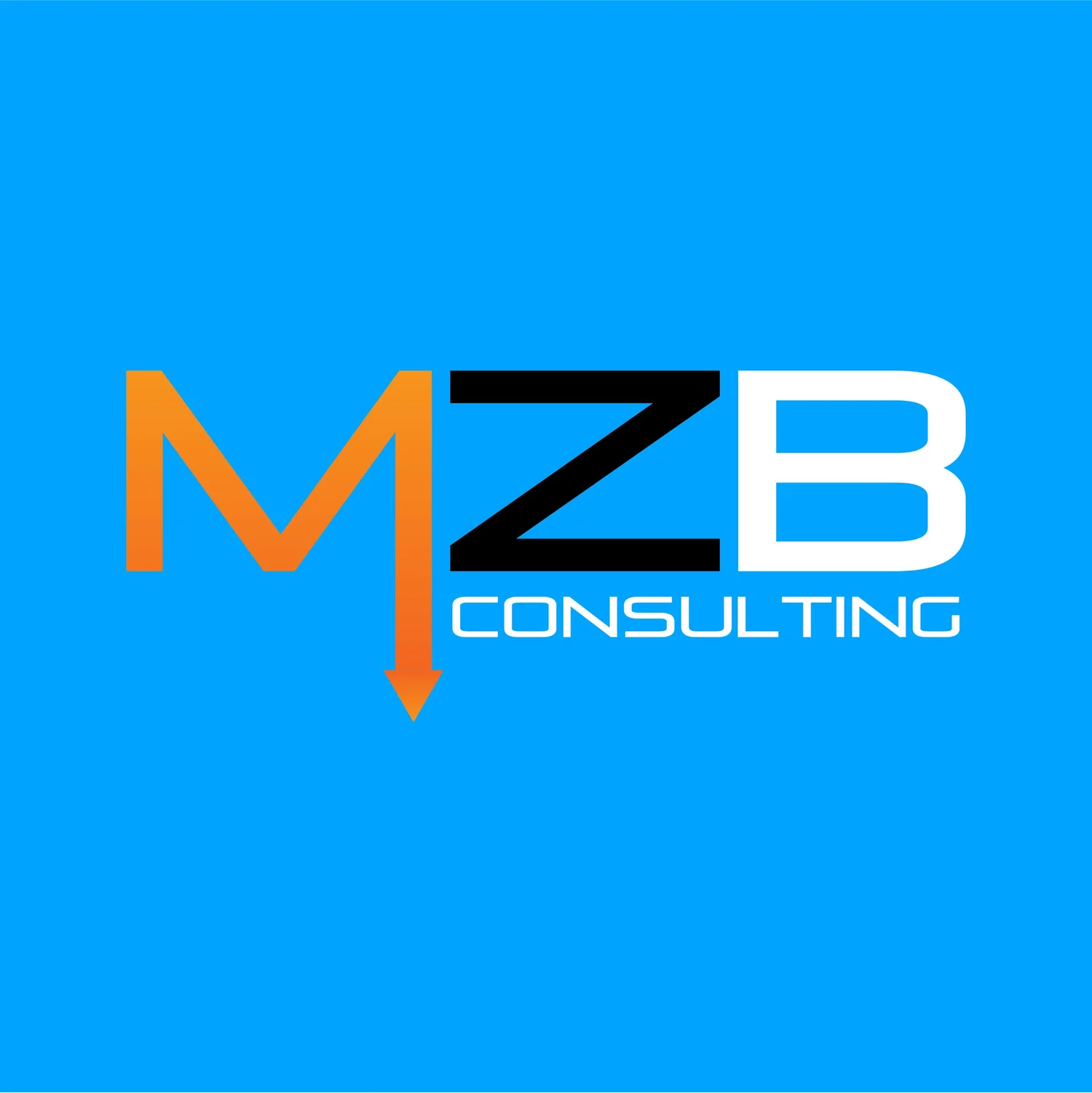 MZB CONSULTING