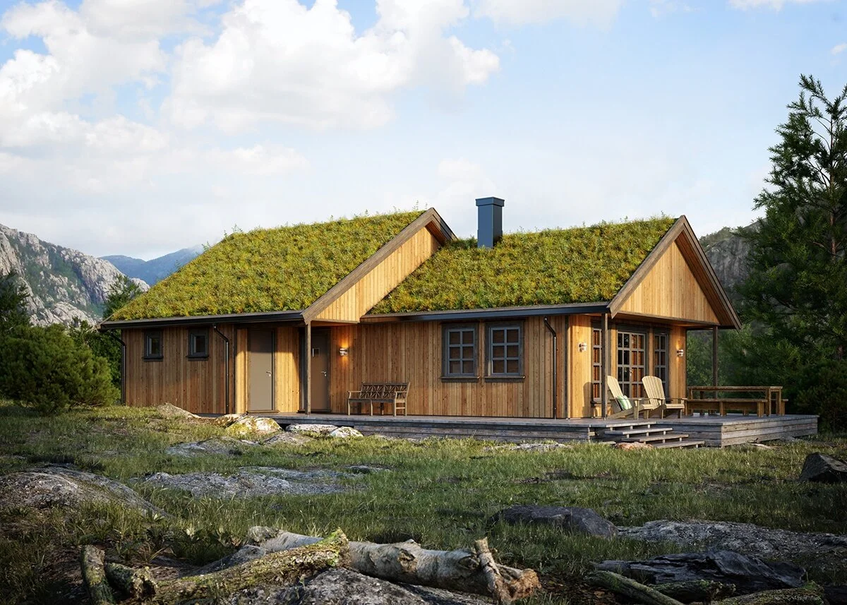 Moderne Hjem Funkishus Tradisjonelle Hus Herskapelige Hus Nybygg ...