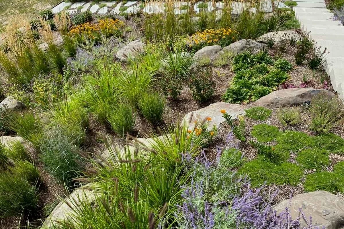 Earth Designs Cooperative