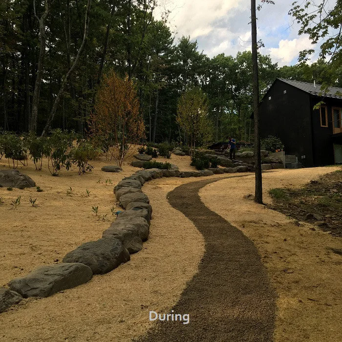 Forestry & Natural Trails — Earth Designs Cooperative