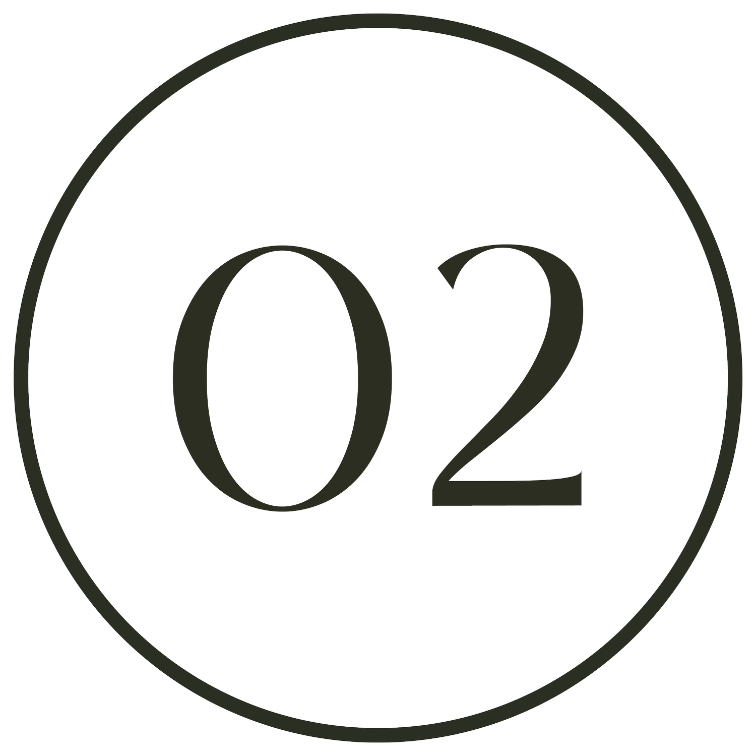 Traverse City Photographer - Carly Lynne Visuals