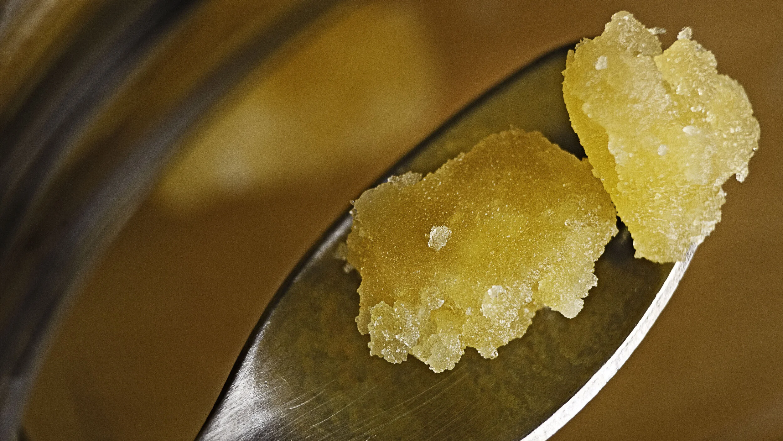 Our Services — Pamolab