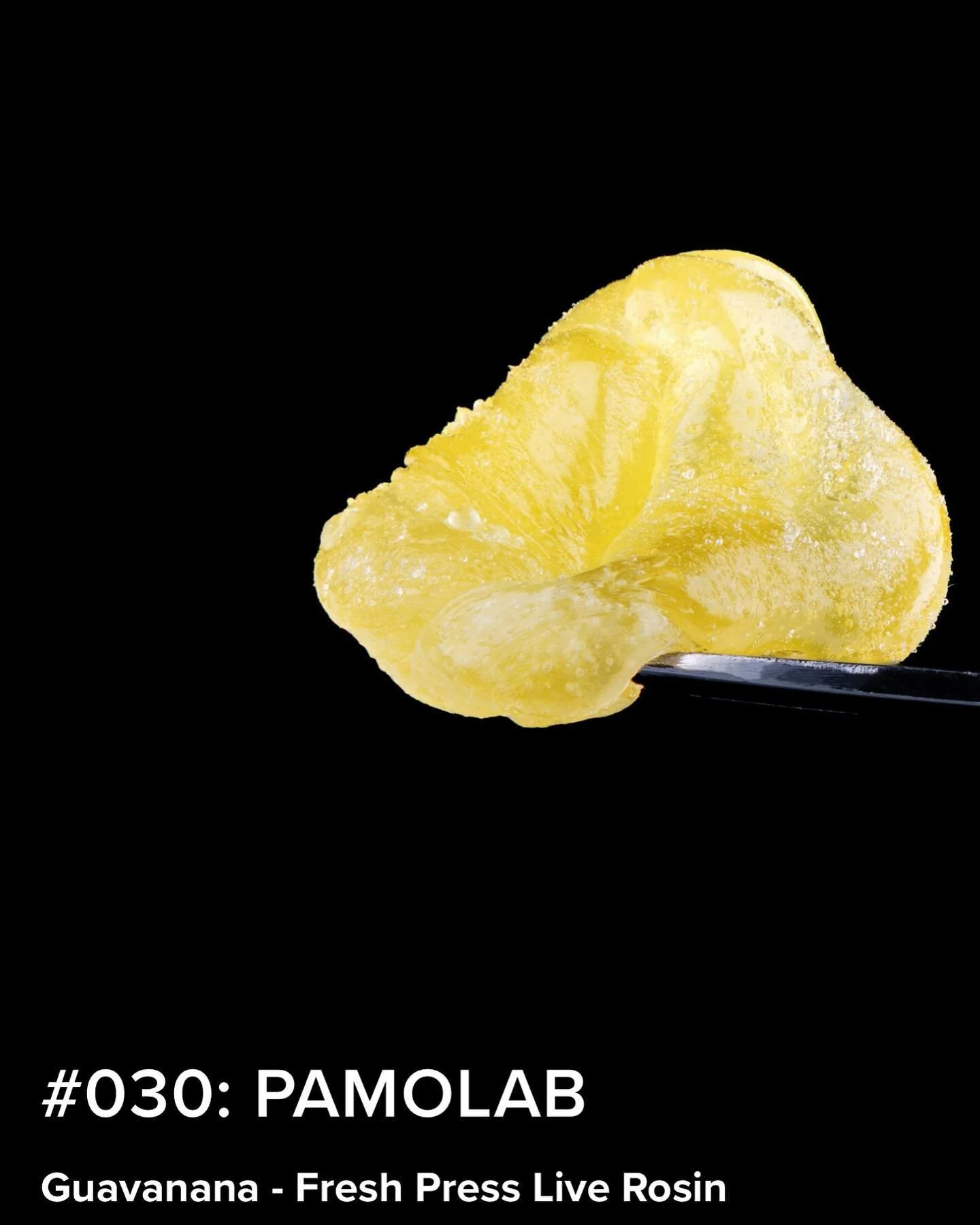 Pamolab