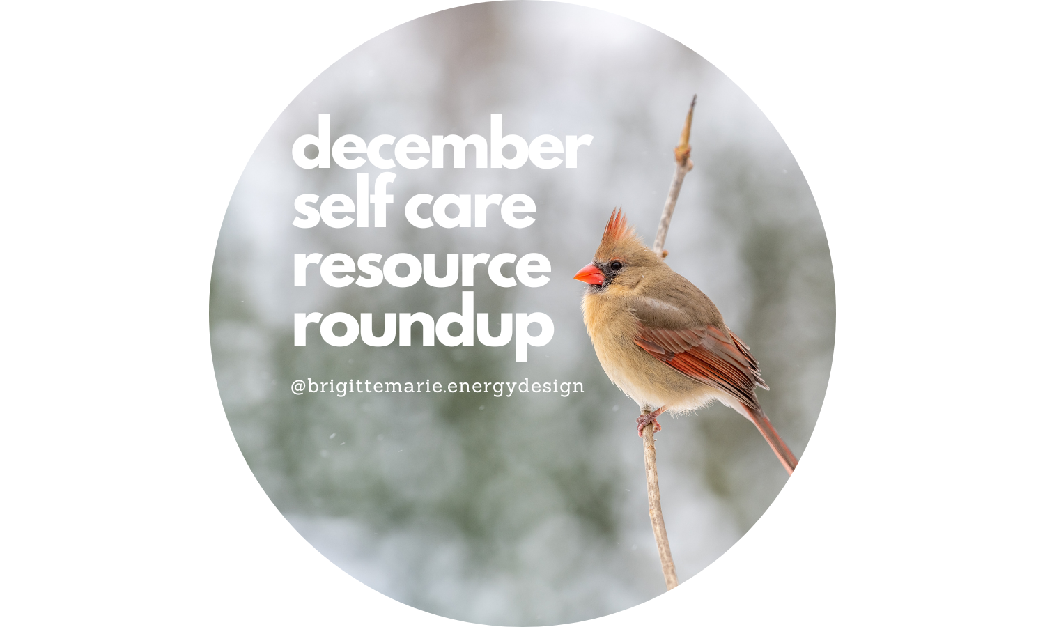 december self-care resource roundup — Brigitte Flick Studio
