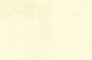 Curio Bar & Restaurant