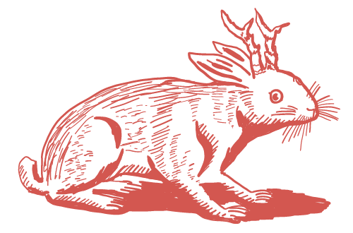 Menus — Curio Bar & Restaurant