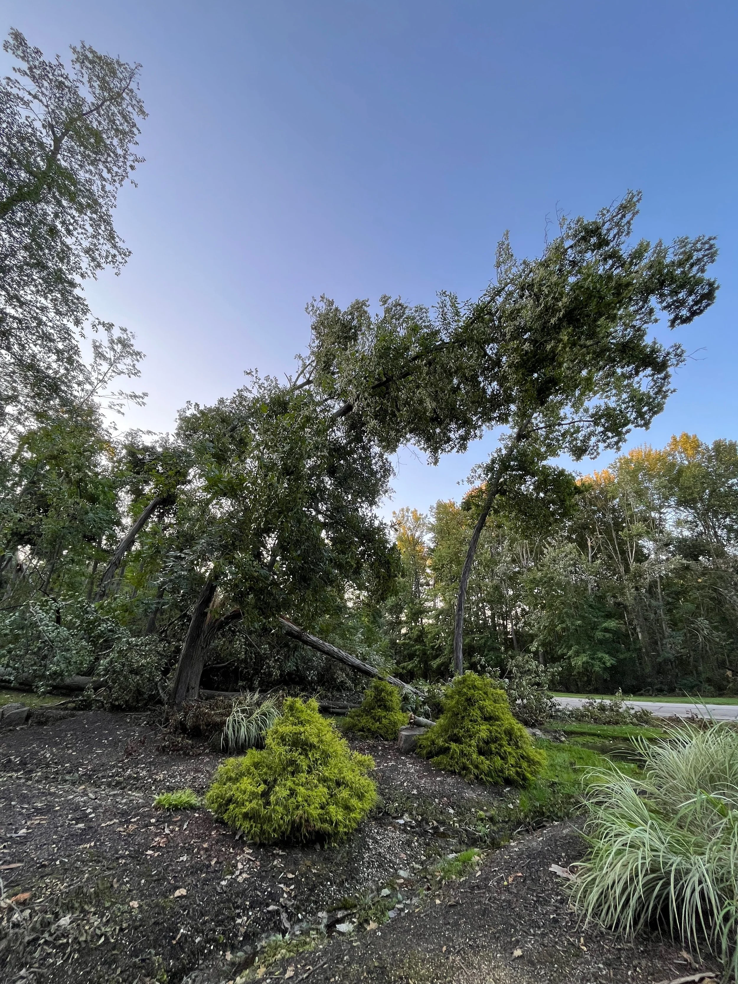 Photo Journal: Flexibility — Finding Resilience