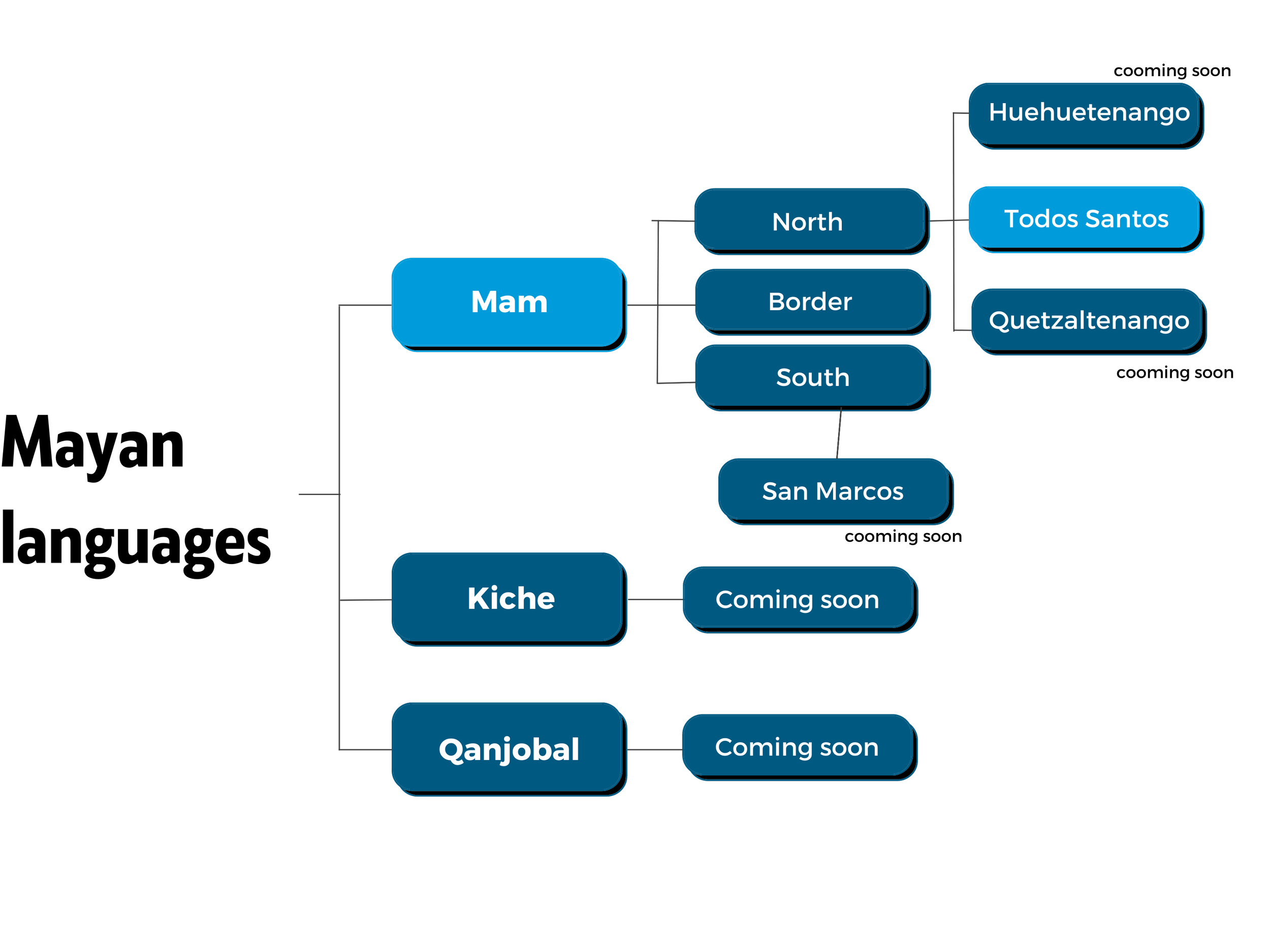 Mayan Mam Interpretation — COURTPALS