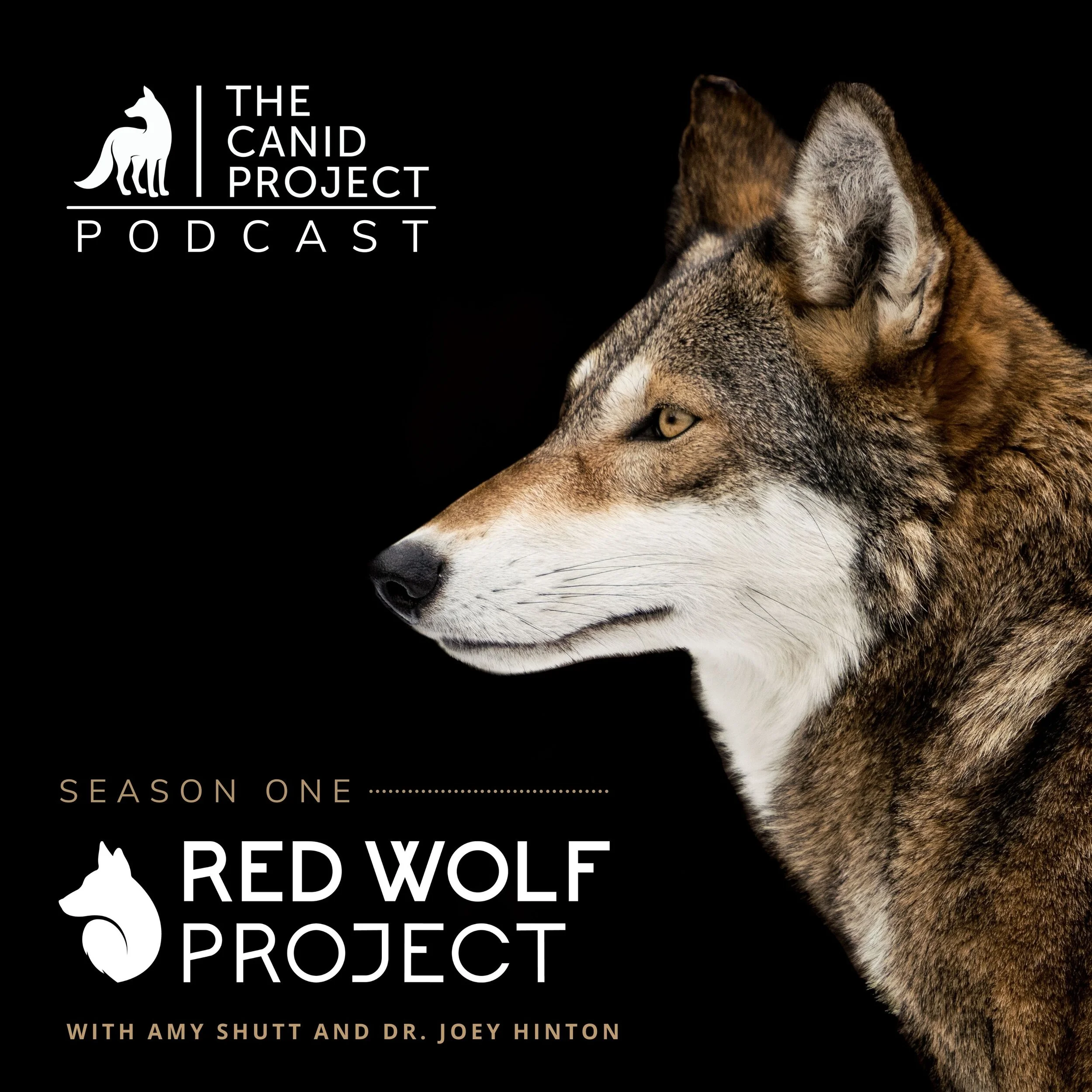 Podcast Info — Red Wolf Project