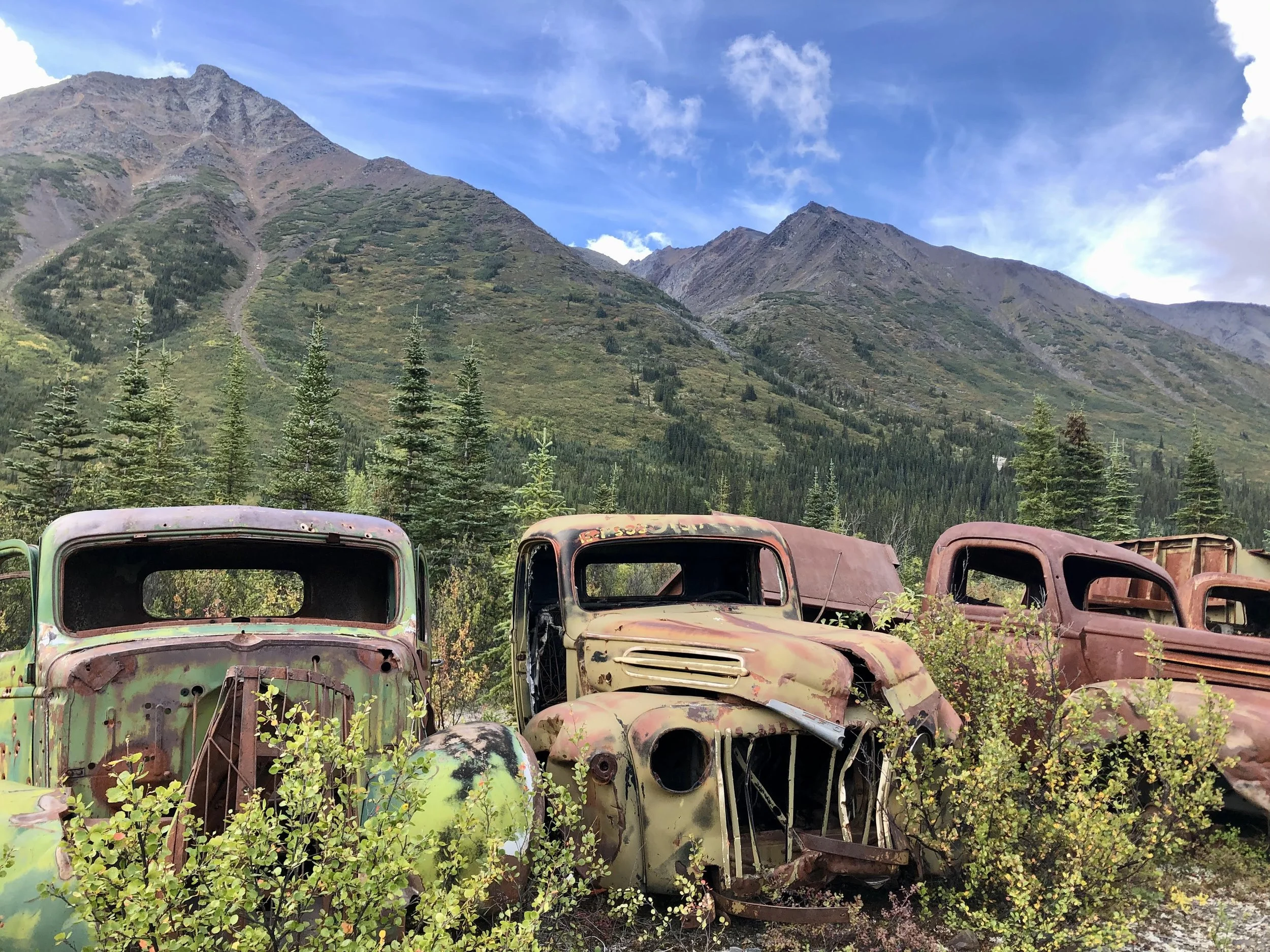 Dena Cho Environmental LP