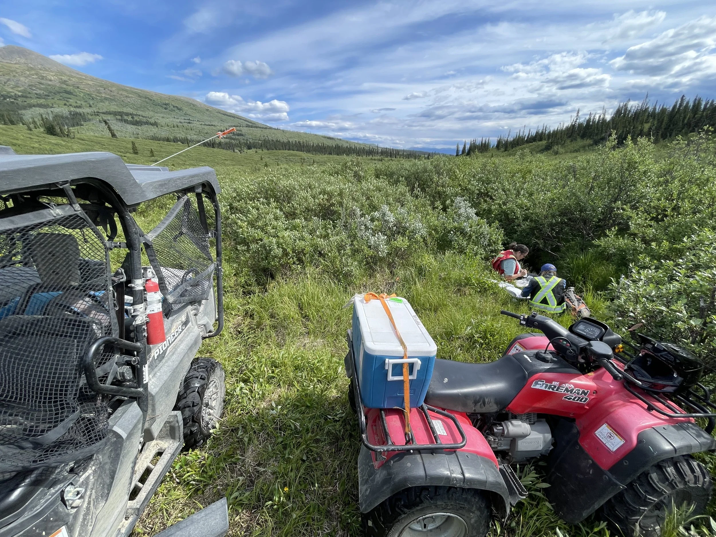 Dena Cho Environmental LP