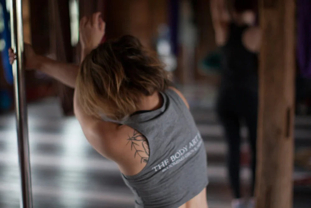 Page — The Body Art Barn -Yoga, Pole & Aerial Studio in Hudson Valley.