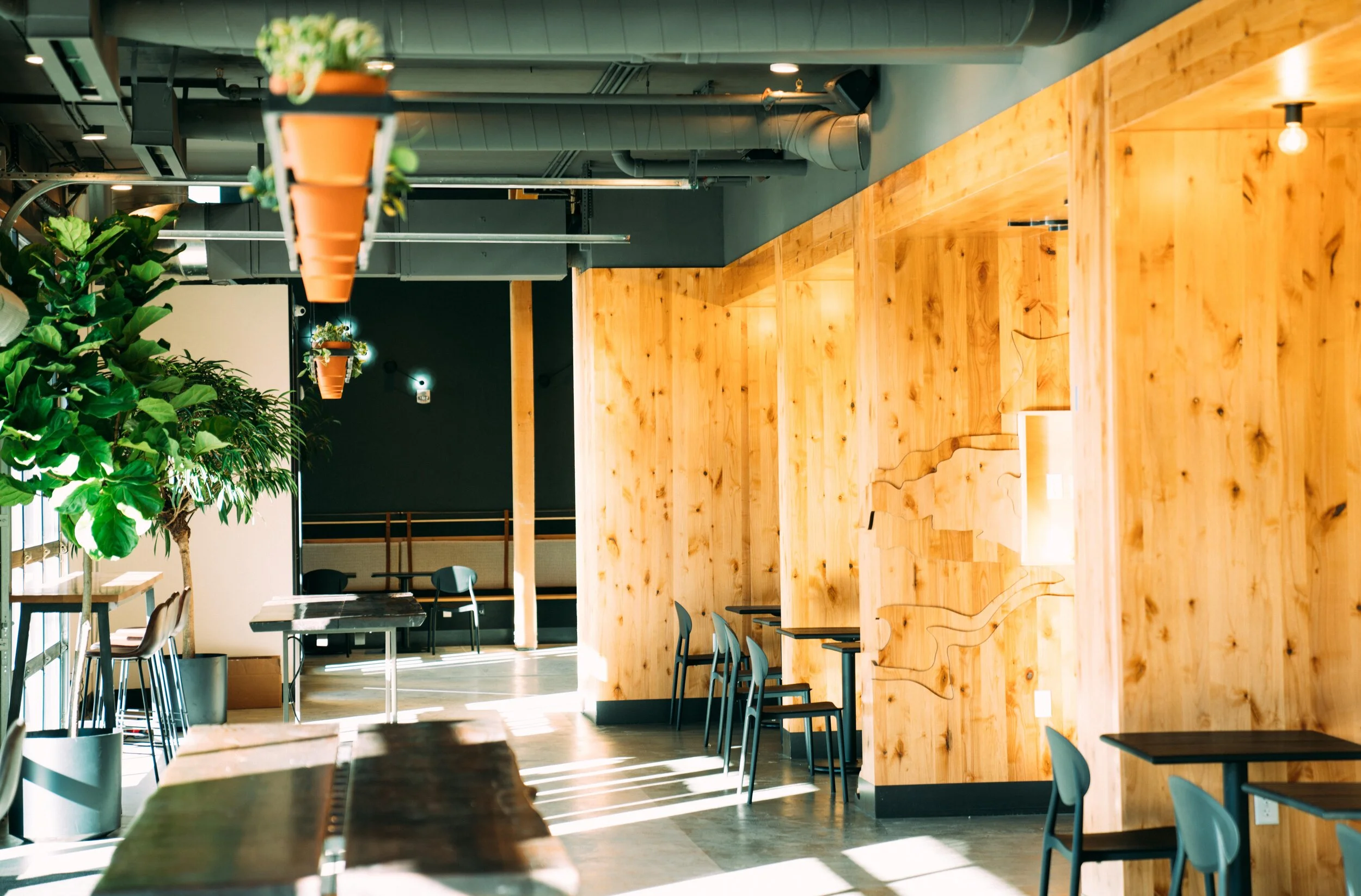 Homa Cafe+Bar