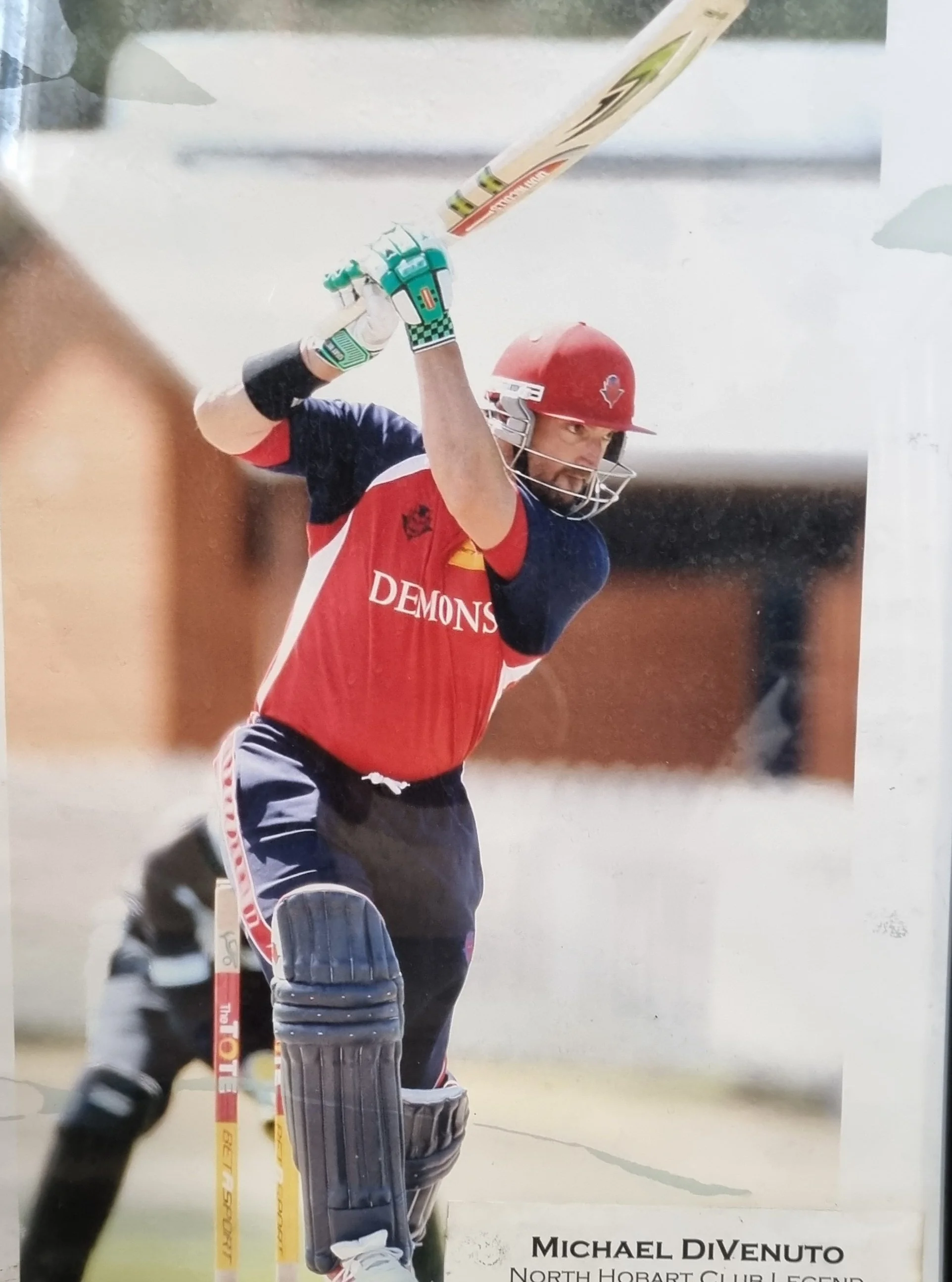 State Player Reps — North Hobart Cricket Club