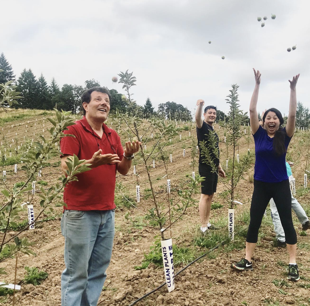 Story — Kristof Farms