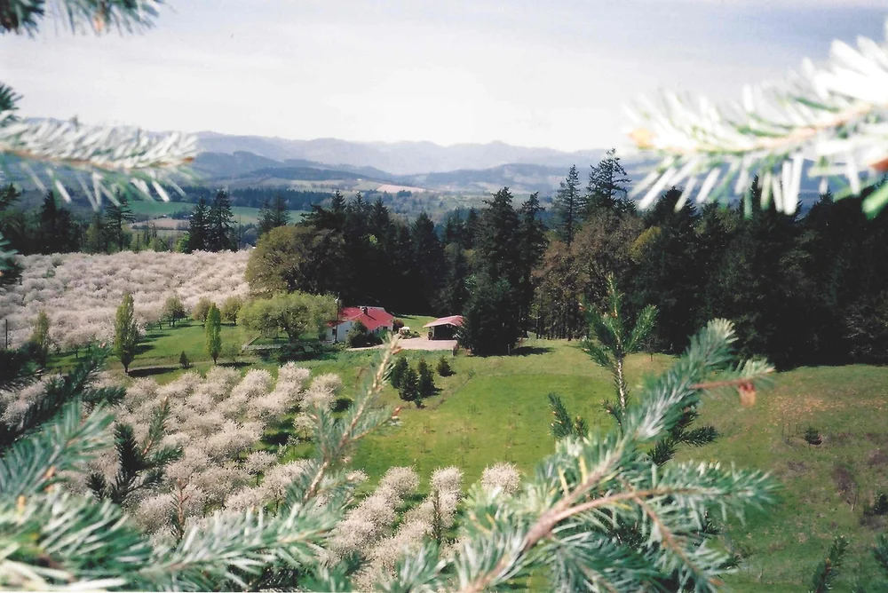 Story — Kristof Farms