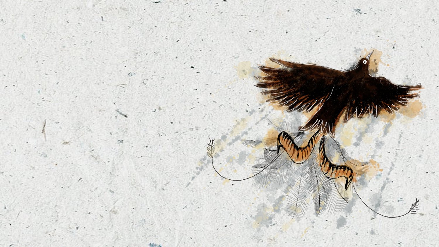 General 2 — The Message of the Lyrebird