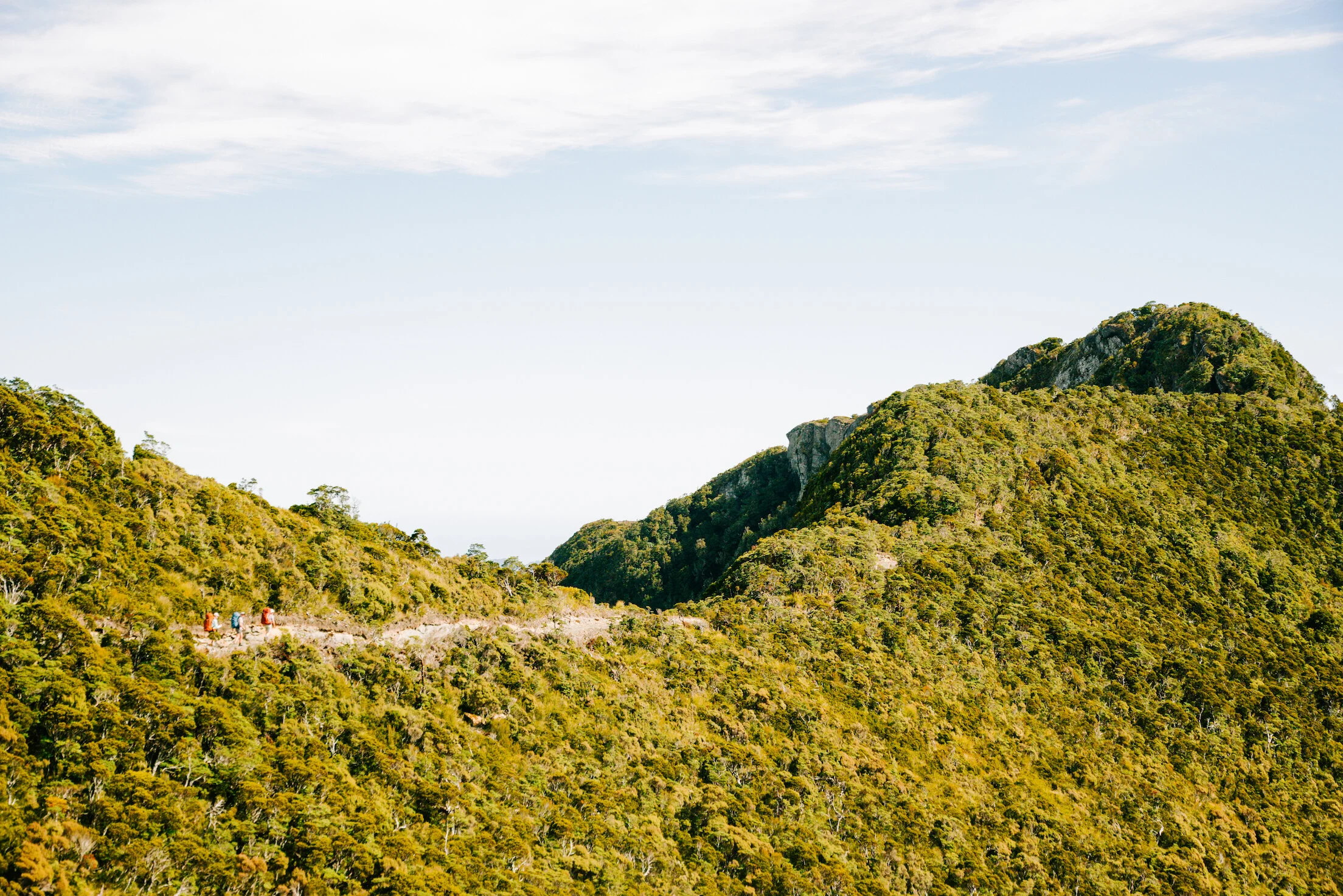 Paparoa Guided Walks: Paparoa Track, New Zealand
