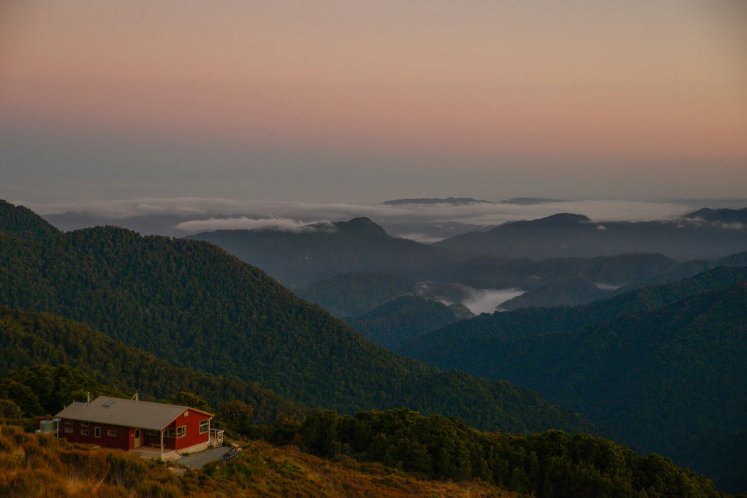 Paparoa Track — Paparoa Guided Walks